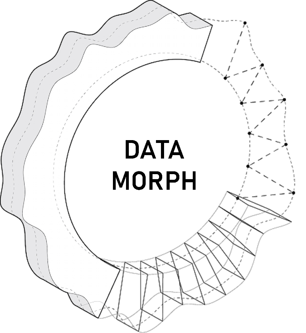 Data Morph - Sean Reilly